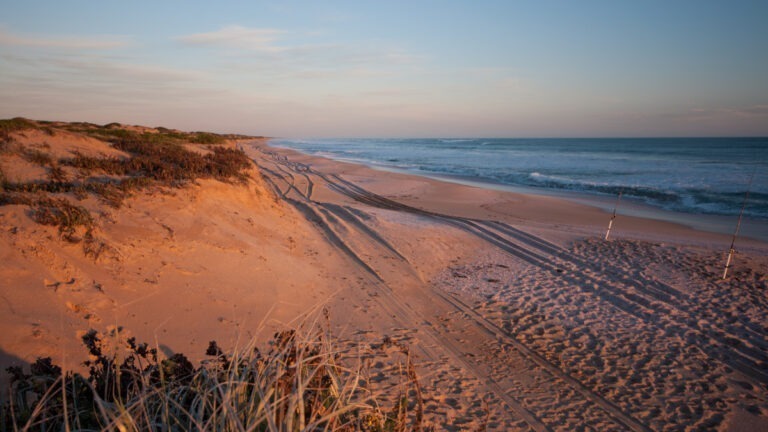 Coorong - Ocean Beach Camping