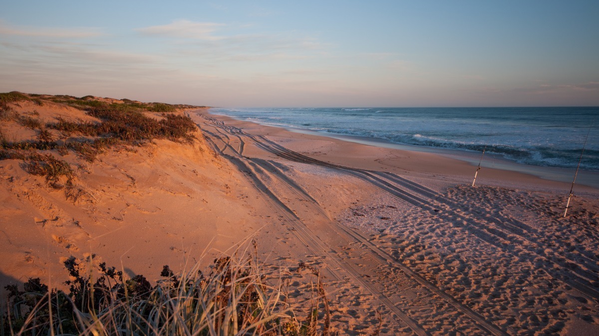 Coorong - Ocean Beach Camping